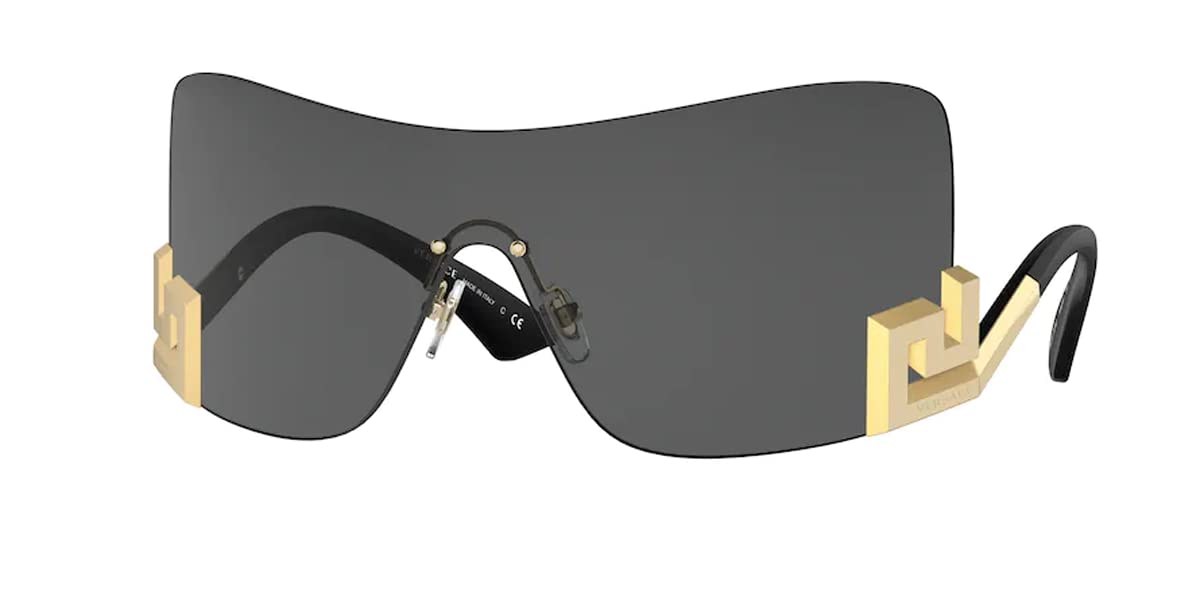 Versace VE2240 40MM 100287 Grey/Dark Grey Shield Sunglasses for Women + BUNDLE With Designer iWear Eyewear Kit