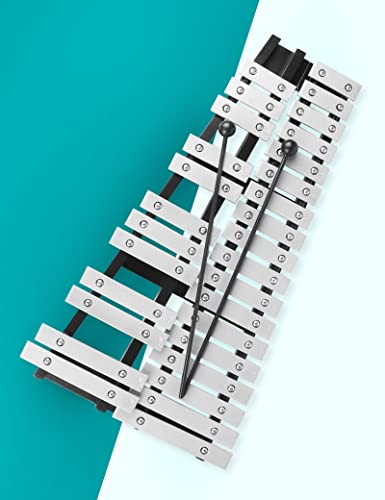 Mr.Power 30 NOTES Foldable Glockenspiel Xylophone Vibraphone Percussion Instrument Musical Instrument with Mallet, Mallet Mute Cover, Carrying Bag, Carrying Box