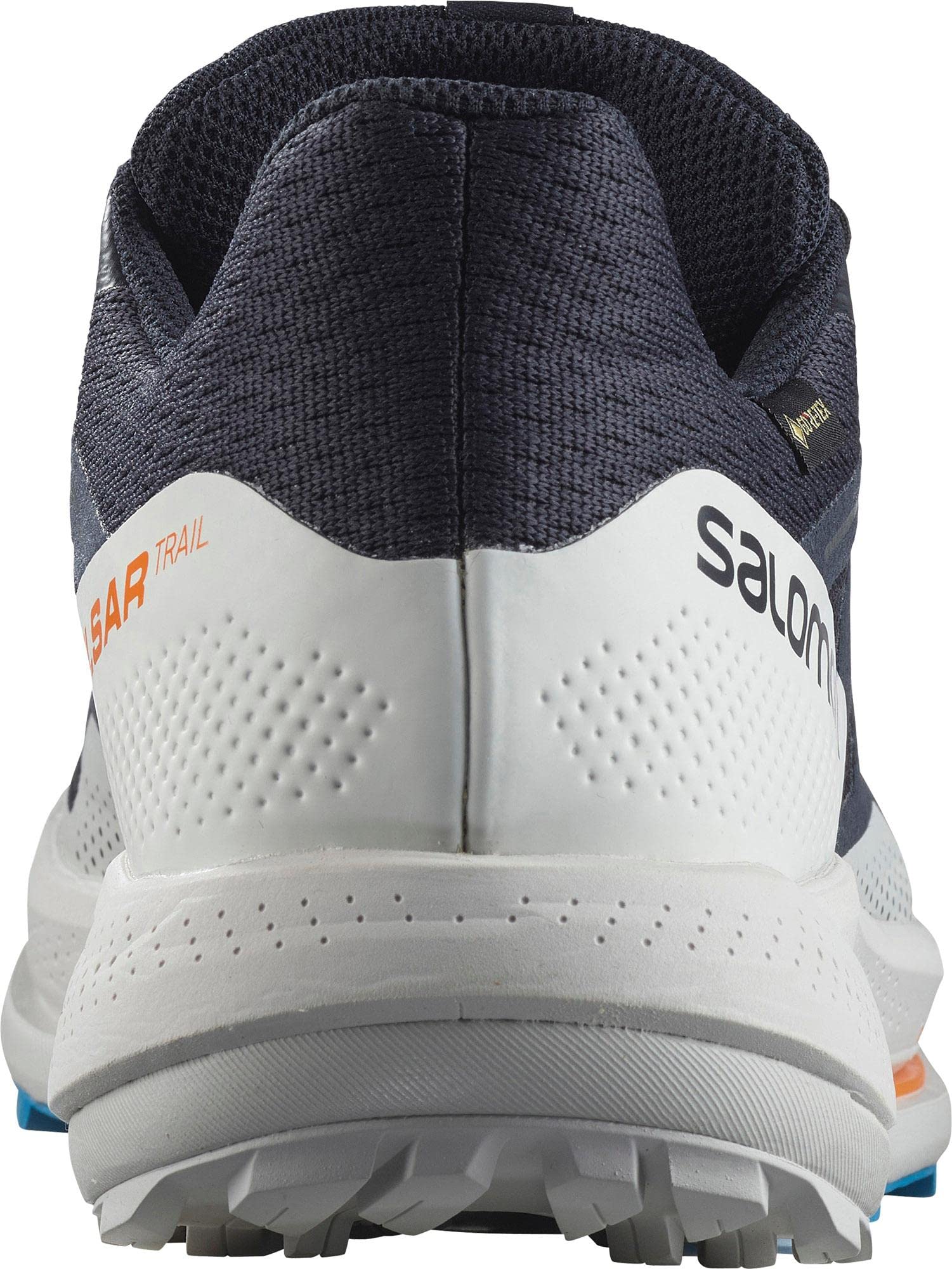 Salomon Pulsar Trail GTX Night Sky/Lunar Rock/Indigo Bunting 10 D (M)