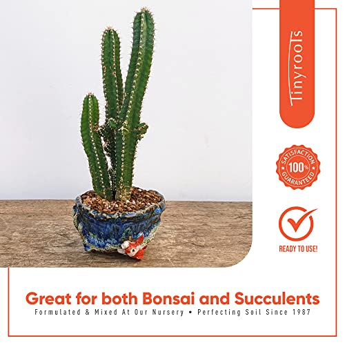 Tinyroots Red Lava Rock for Plants, 2.25 Quarts, Sifted Bonsai and Cactus Soil Additive, Maintains Proper Moisture, Used for Top Dressing, Volcanic Rock, No Dyes or Chemicals