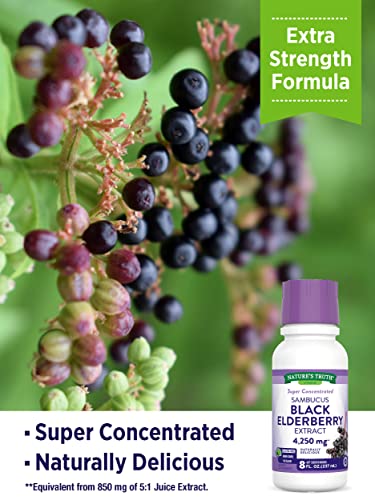 Nature's Truth Black Elderberry Extract 4250mg | 8 oz Syrup | Super Concentrated Sambucus Supplement | Vegan, Non-GMO, Gluten Free