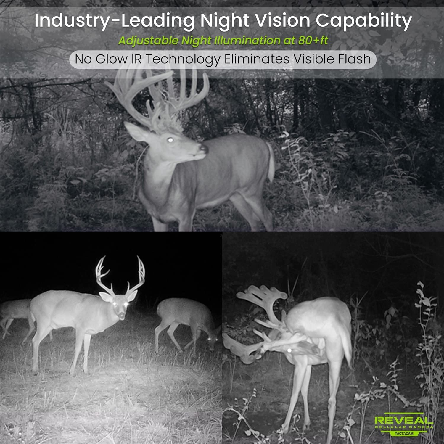 TACTACAM Reveal XB Cellular Trail Camera, No Glow - Verizon & AT&T with Scrape Fix