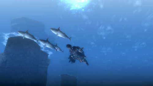 Monster Hunter Tri - Standard