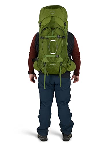 Osprey Aether 65L Men's Backpacking Backpack, Garlic Mustard Green, Extended Fit, Small/Medium