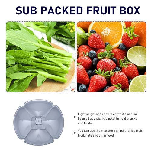 UPKOCH Chips Serving Trays Dry Food Snack Tray Blue: Portable Food Serving Tray with Lid Multi Grid Dry Fruit Tray Snacks Plate for Veggies Candy Plastic