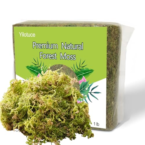 Yilotuce 1 lb Natural Orchid Moss for Potted Plants, Nice Soilless Potting Soil for Seedling and Cutting, Good Idea for Reptile Terrarium, Crafts, Garden Decoration