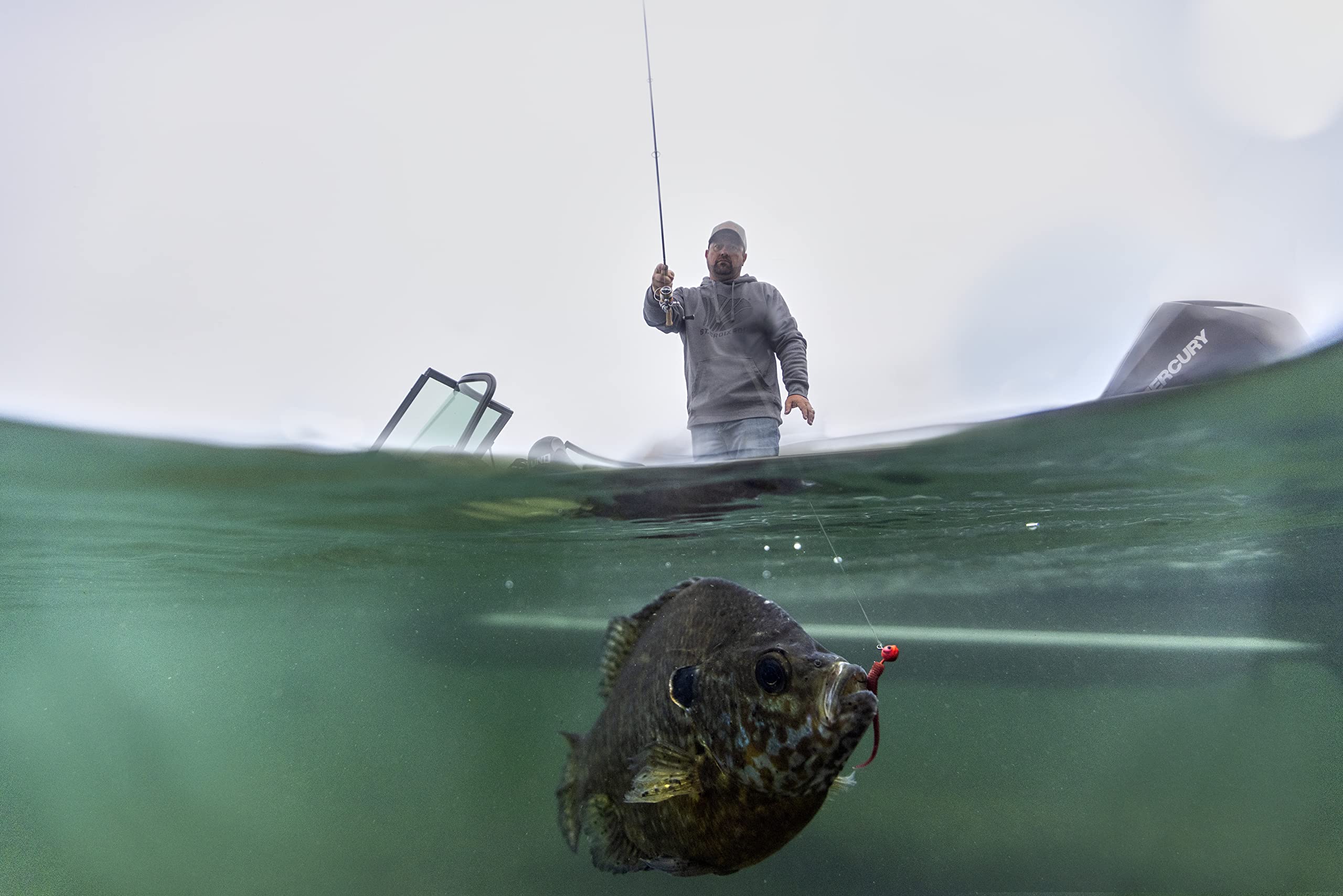 St. Croix Rods Avid Panfish Fishing Rod, ASPS64LF, Carbon Pearl, 6'4"