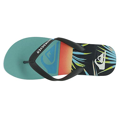 Quiksilver Men's Molokai Panel 3 Point Sandal Flip-Flop, Blue 2, 11