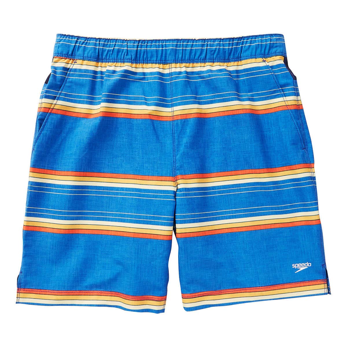 Speedo Mens Hydro Volley Swim Shorts Black (US, Alpha, XX-Large, Regular, Regular, Speedo Blue Stripe)