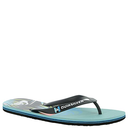 Quiksilver Men's Molokai Panel 3 Point Sandal Flip-Flop, Blue 2, 11