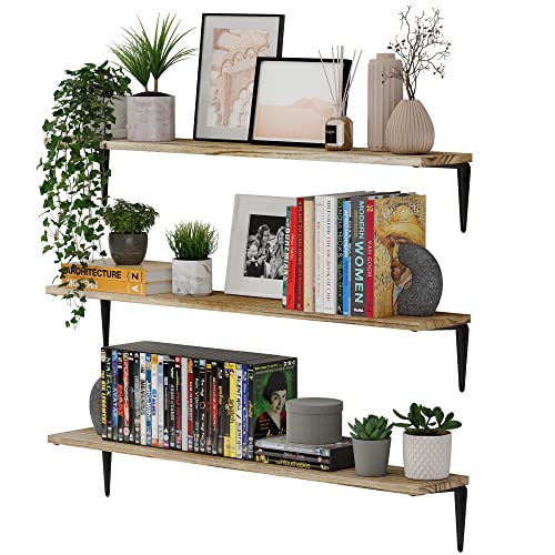 Wallniture Arras 36" Floating Shelves for Wall Storage, Bookshelf Living Room Decor, Bedroom & Kitchen Organization, Office Decor, Wall Shelf Set of 3
