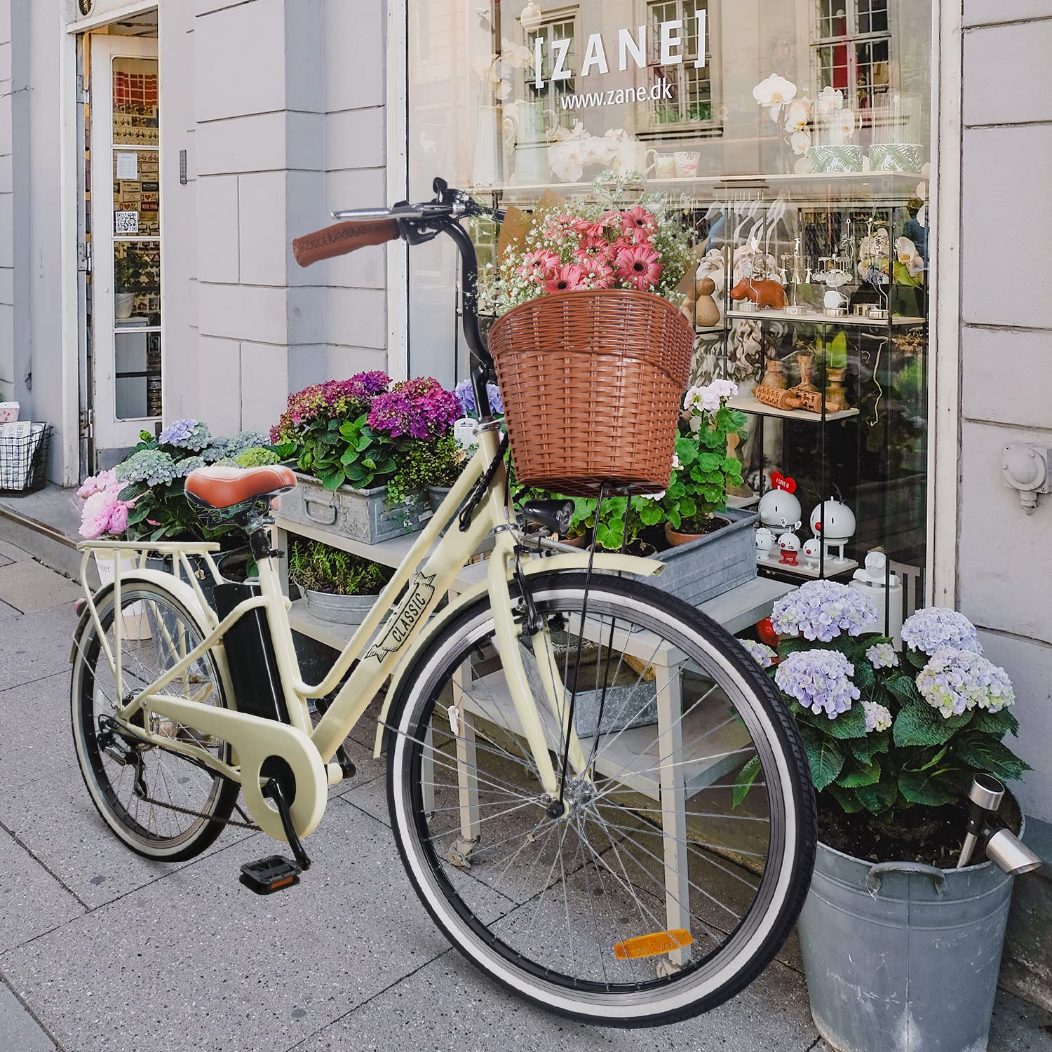 NAKTO Electric Bicycle for Women Men and Adults Ebike with Removable 250W/36V/10AH Lithium Battery1