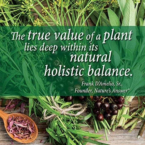 Nature's Answer Goldenseal Root | Herbal Supplement | Supports A Healthy Immune System | Gluten-Free & Alcohol-Free 1oz