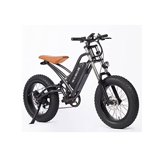 Wonzoneddzxc Electric Bicycles 20 Inch Electric Bicycle Variable Speed Off-Road Booster with Removable Electric Mountain Bike