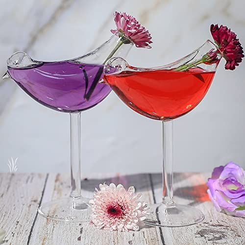 SuproBarware Cocktail Glass - Bird Glass Clear Wine Glasses Set of 2 Goblet Beverage Glass 5 Ounce for Party Wedding