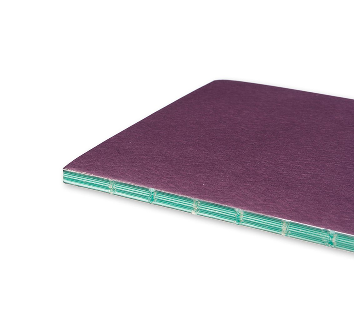 Moleskine Chapters Journal, Slim Large, Ruled, Old Rose, Soft Cover (4.5 x 8.25)