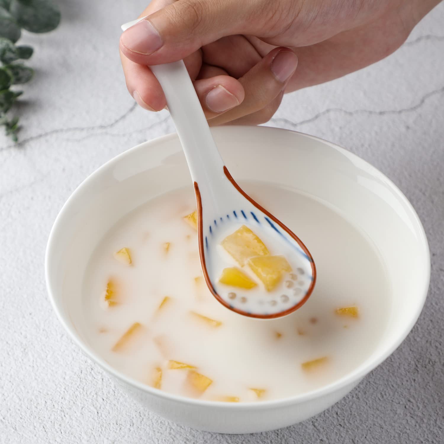 Soup Spoon Set of 4 Ceramic Chinese Soup Spoons Ramen Spoons for Pho Noodle Cereal Dumpling