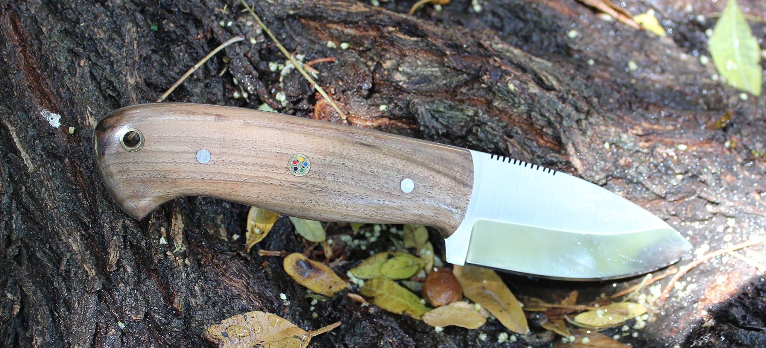 Moorhaus Handmade D2 Skinner/Hunting bushcraft/camping knife with leather Sheath (Walnut)