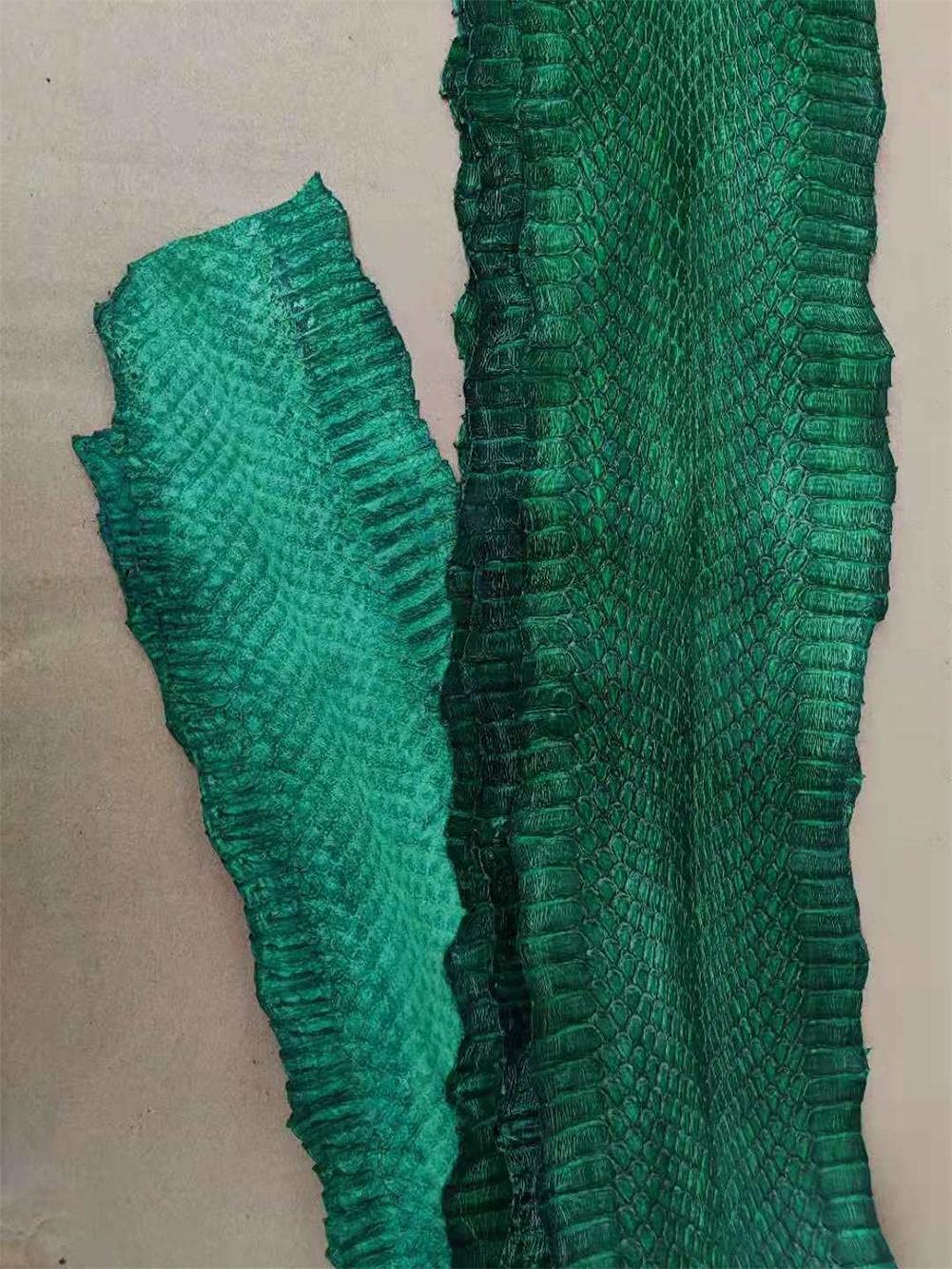 Snake Skin Snakeskin Pieces Assorted Colors Hide Leather Natural 47in (Green)