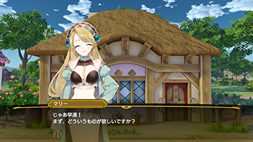 Nelke & The Legendary Alchemists: Ateliers of The New World - Nintendo Switch