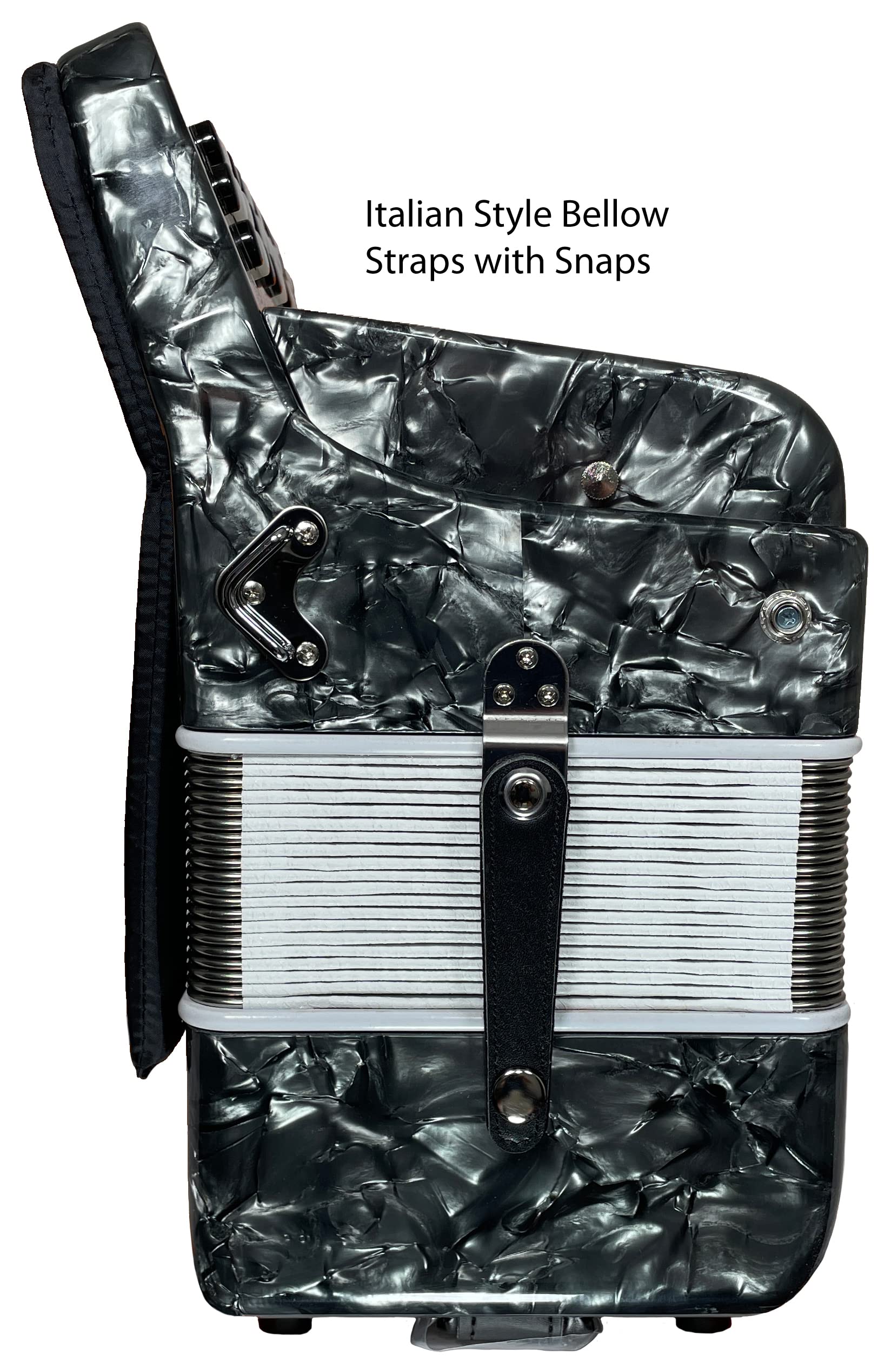 SofiaMari NSM3412 Accordion Package: 34 Button, 12 Bass, 3 Switch Accordion with Case and Straps (Fa/FBE, Red Pearl)
