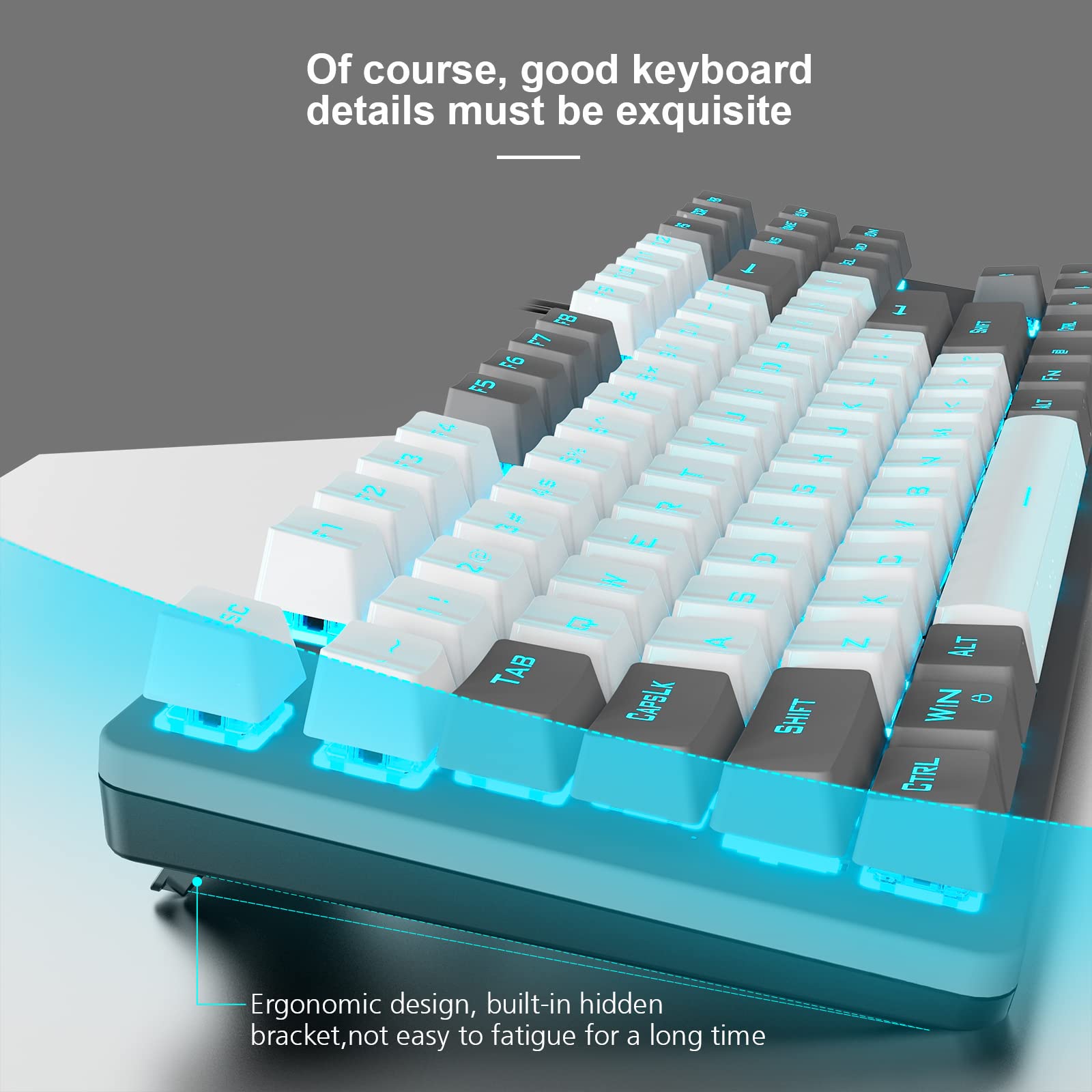 ZDawnn Wired Mechanical Gaming Keyboard Tenkeyless,80% Compact 87 Keys LED Backlight,Hot Swappable Blue Switch TKL Mechanical Keyboard for Computer and Laptop (White/Gray)