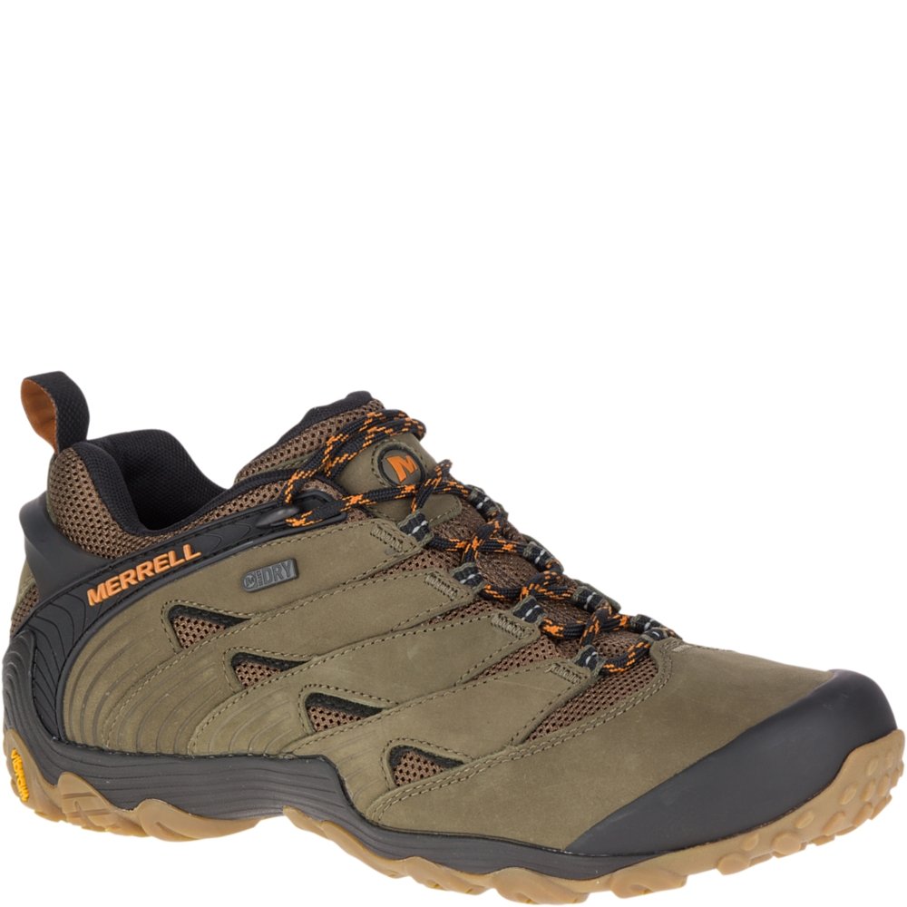 Merrell Men's Chameleon 7 Waterproof Hiking Shoe, Dusty Olive, 07.0 M US