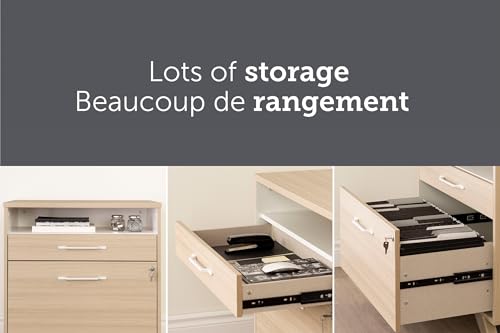 South Shore Helsy 2-Drawer File Cabinet, Lateral, Soft Elm and White