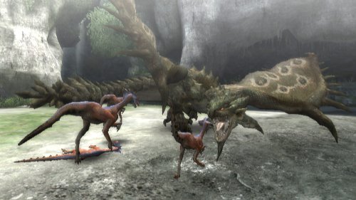 Monster Hunter Tri - Standard