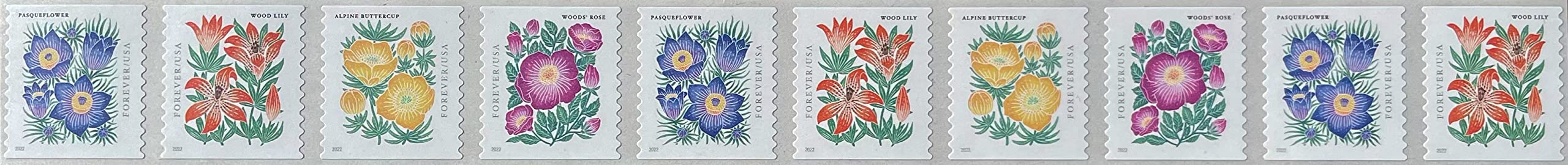 Mountain Flora Flower US First Class Forever Postage Stamps Celebrate Beauty Wedding (1 Strip of 10)