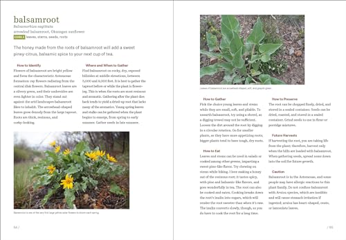 Mountain States Foraging: 115 Wild and Flavorful Edibles from Alpine Sorrel to Wild Hops (Regional Foraging Series)