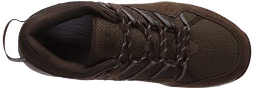 New Balance mens 669 V2 Walking Shoe, Chocolate Brown/Chocolate Brown, 10.5 X-Wide US