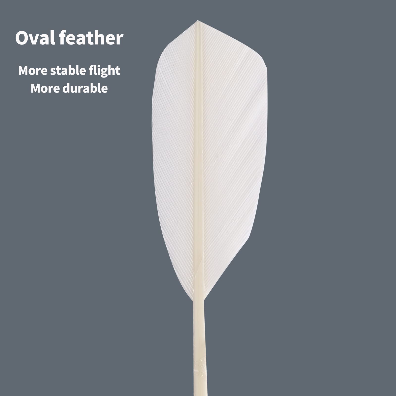 TENGAOSI Duck Feather Badminton Shuttlecocks with Great Stability and Durability, with Speed 77 Badminton Birdies for Outdoor and Indoor, Shuttlecock Feather (Red-T1)