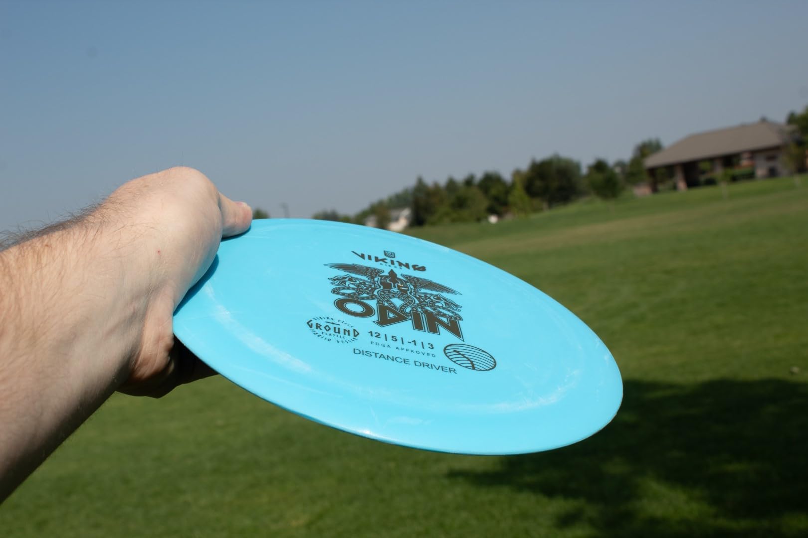 Viking Discs Odin Ground Plastic | Distance Driver | Advanced Disc Golf Driver [Stamp Color & Color Shade May Vary] (170-172g, Blue)