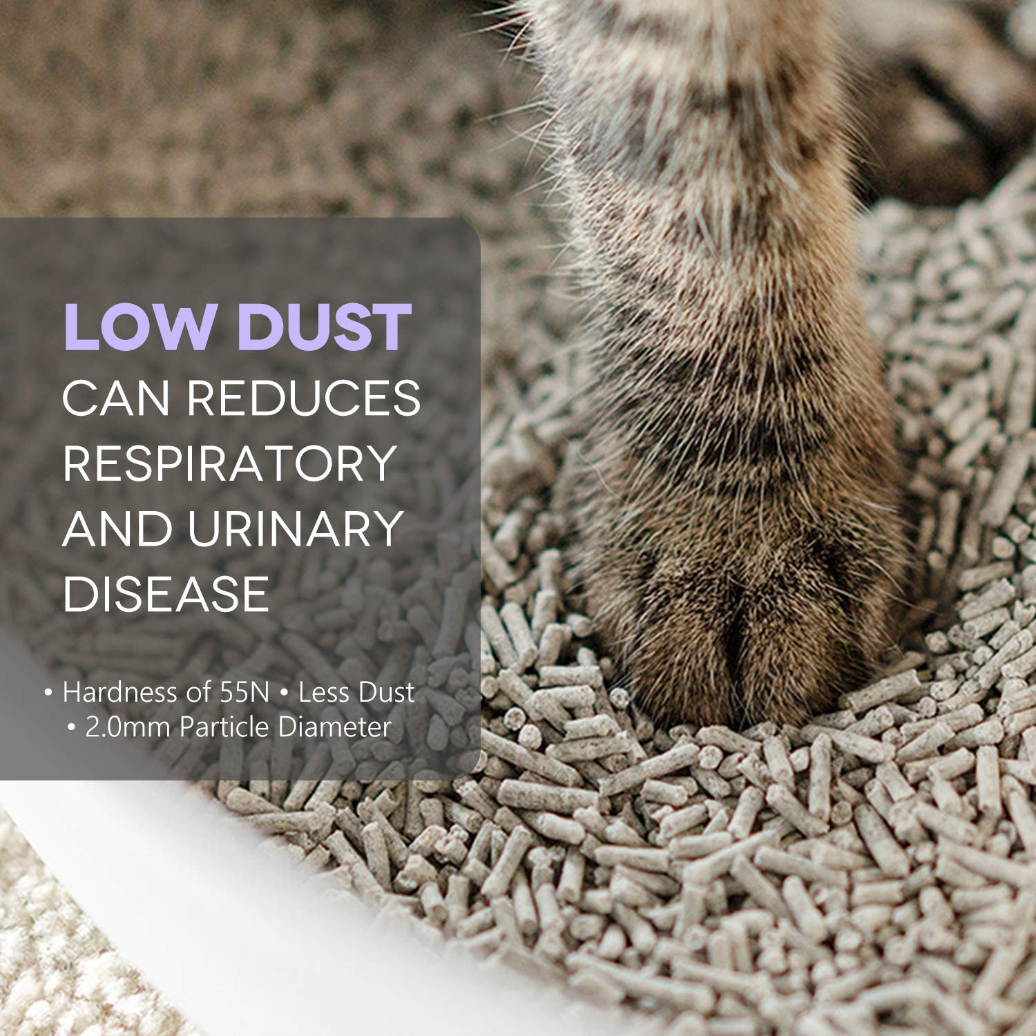 petnf Tofu Cat Litter,Natural Flushable Kitten Litter Unscented,Ultra Clumping Plant Litter for Cat, Pea Flavor and Activated Charcoal Double Shot Deodorization,Zero Dust,Low Tracking,Biodegradable