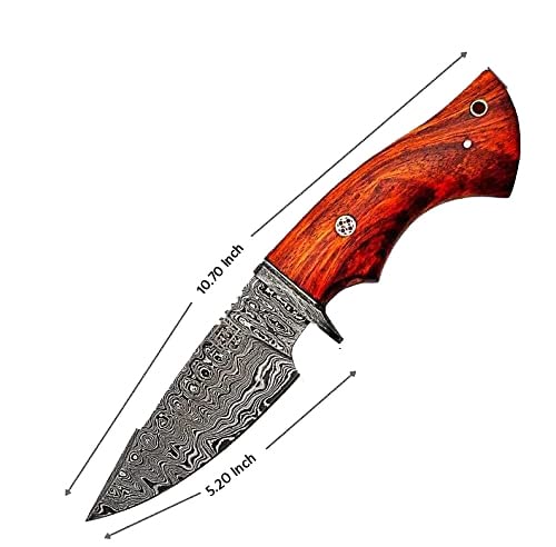 The Blade Point Damascus Hunting Fixed Blade Knife – 10.7” EDC Custom Handmade Knives, Bushcraft Outdoor Survival Camping Bowie Knife, Walnut Wood Handle with Leather Sheath