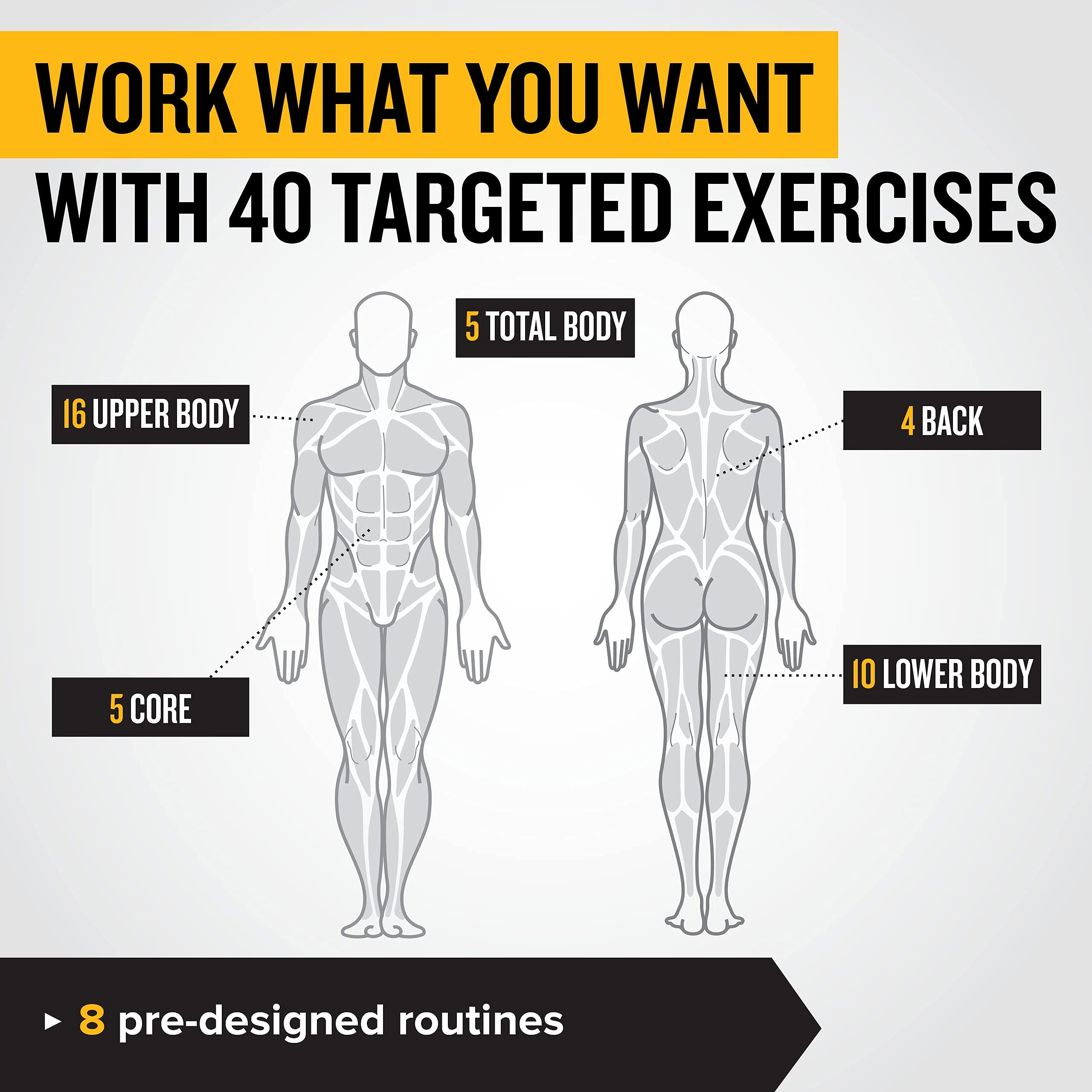 NewMe Fitness Workout Posters for Home Gym, Dumbbell Exercise Posters for Full Body Workout, Core Abs Legs Glutes & Upper Body Training Program (Vol 1)