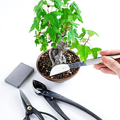 Wazakura Japanese Sap Rust Eraser for Blades, Garden Scissors, Bonsai Tools, Floral Hasami Shears, Made in Japan - Sap Eraser