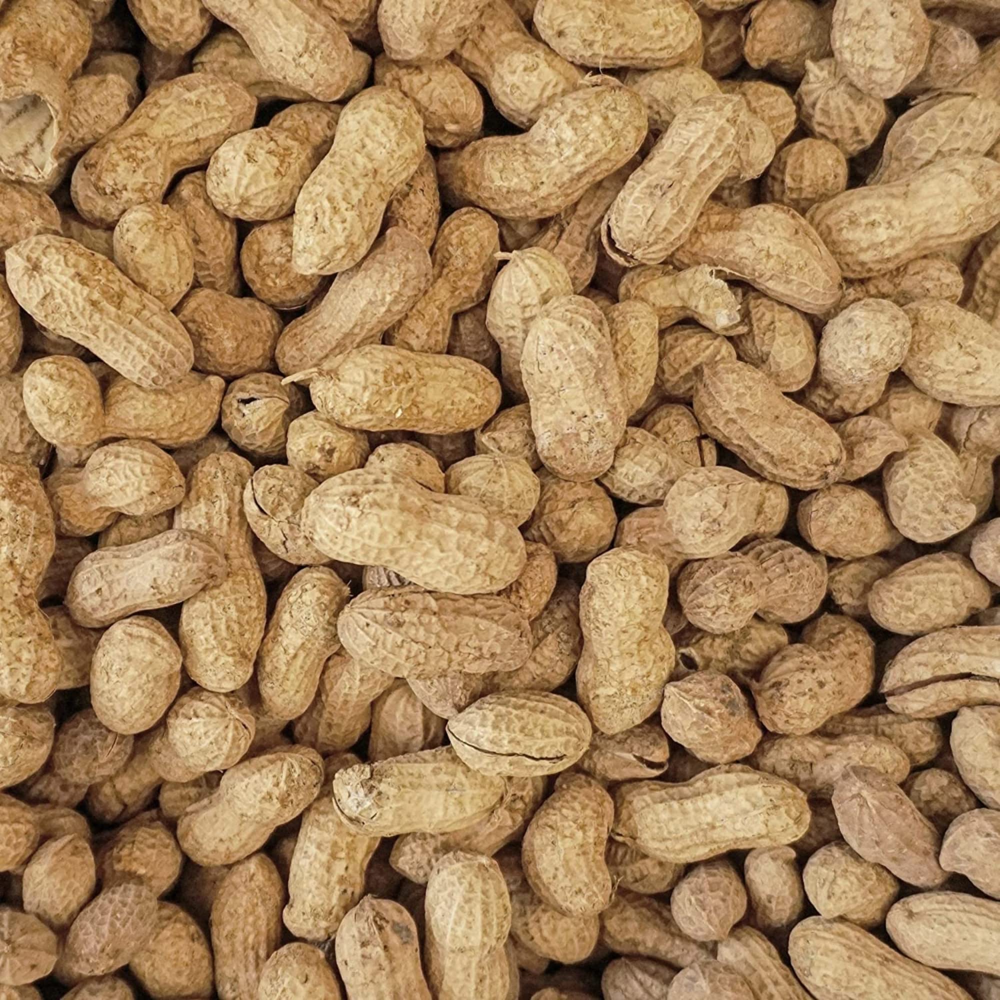 Wildlife Elements Peanut Party in-Shell Peanuts for Birds, Squirrels, Wild Animal Food, 25 Pound Bag