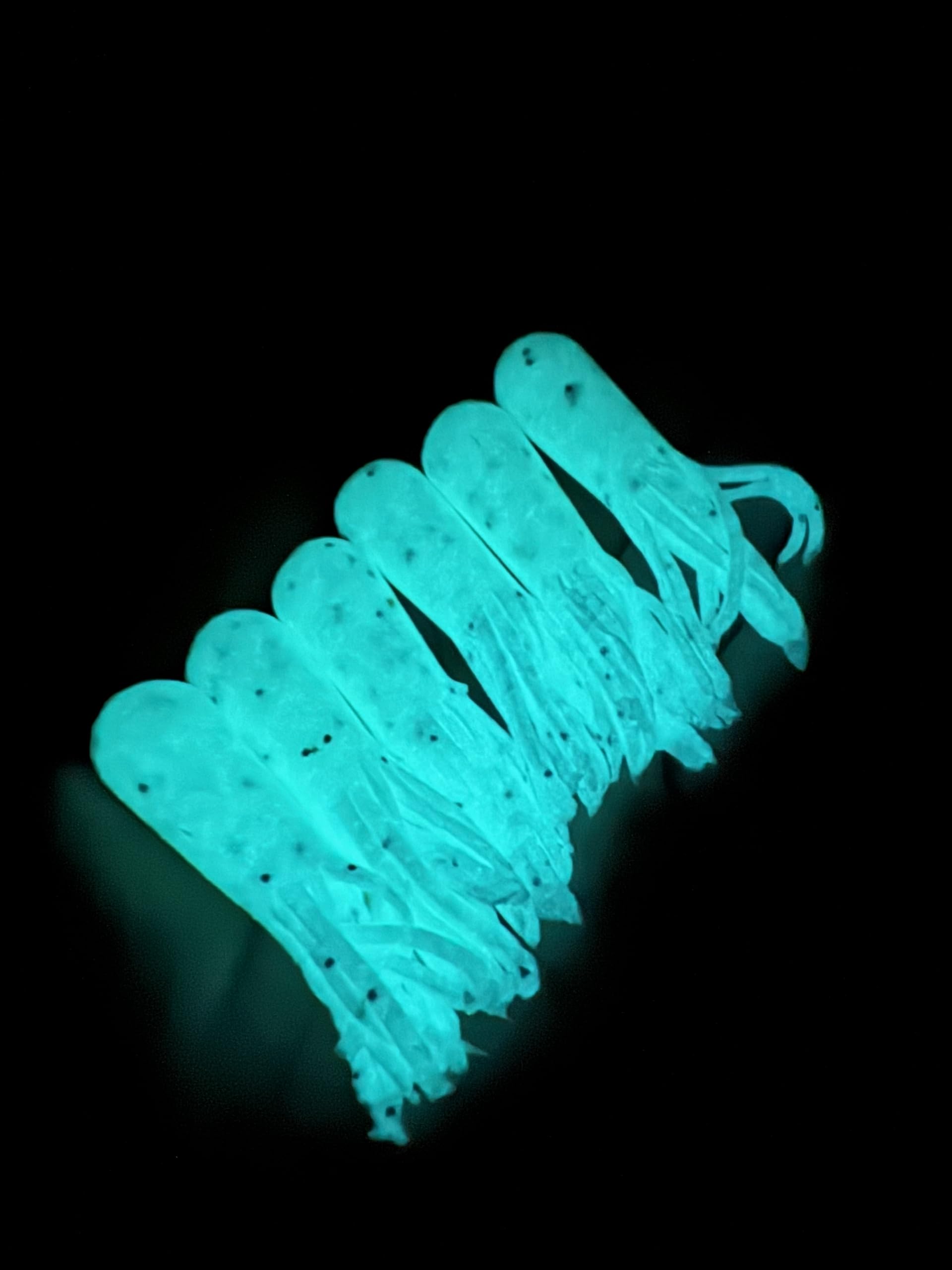 True North Baits - Glow Cup (USB Powered, 5 Volt) Glow baits Portable uv Glow Cup Glow Tubes Glow in The Dark ice Fishing Box kit USB Device Peche Accessories Black