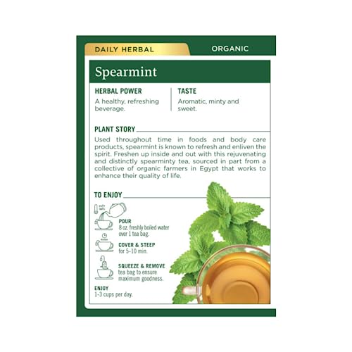 Traditional Medicinals Organic Spearmint Herbal Tea, Supports Healthy Digestion, (Pack of 2) - 32 Tea Bags Total