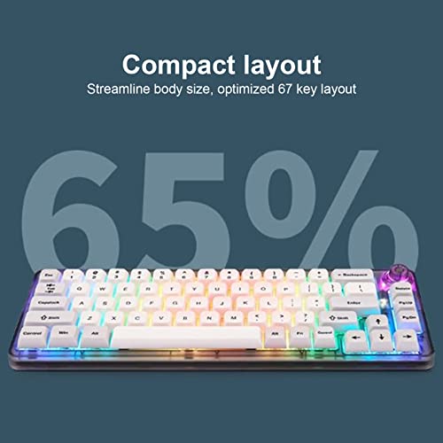YEmirth Mechanical Keyboard 67 Keys RGB Backlit Hot Swap Ergonomic Design Compact Layout PBT Keycaps Gaming Keyboard