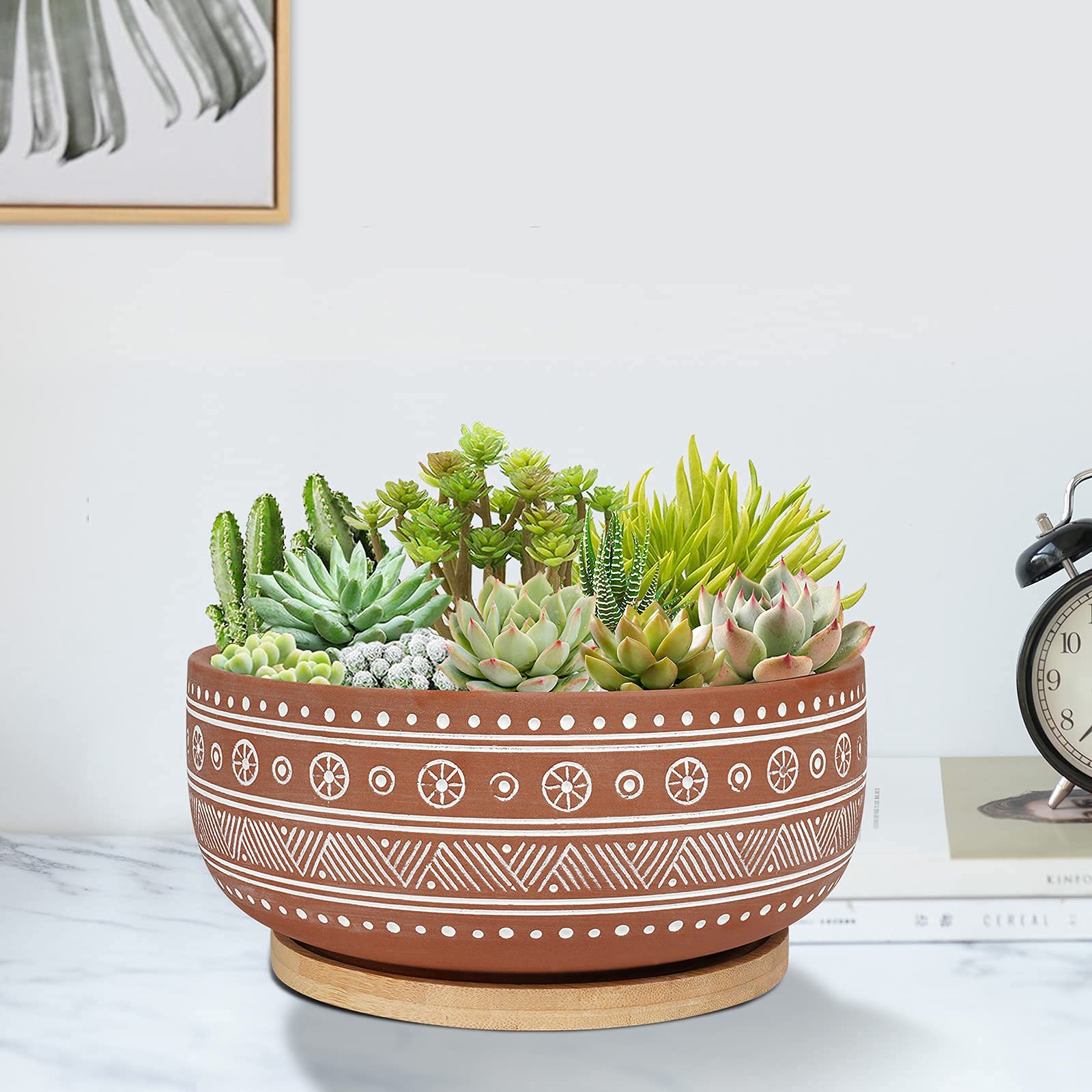 Thirtypot Terracotta Succulent Planter Pot with Drainage Hole, Large Round Shallow Bonsai Pot for Indoor Plants