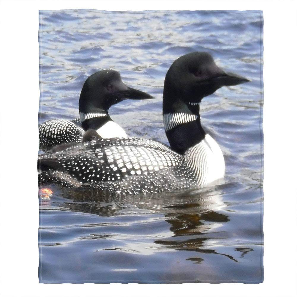 Moslion Soft Cozy Throw Blanket Loon Lake Wild Duck Fuzzy Warm Couch/Bed Blanket for Adult/Youth Polyester 60 X 80 Inches(Home/Travel/Camping Applicable)