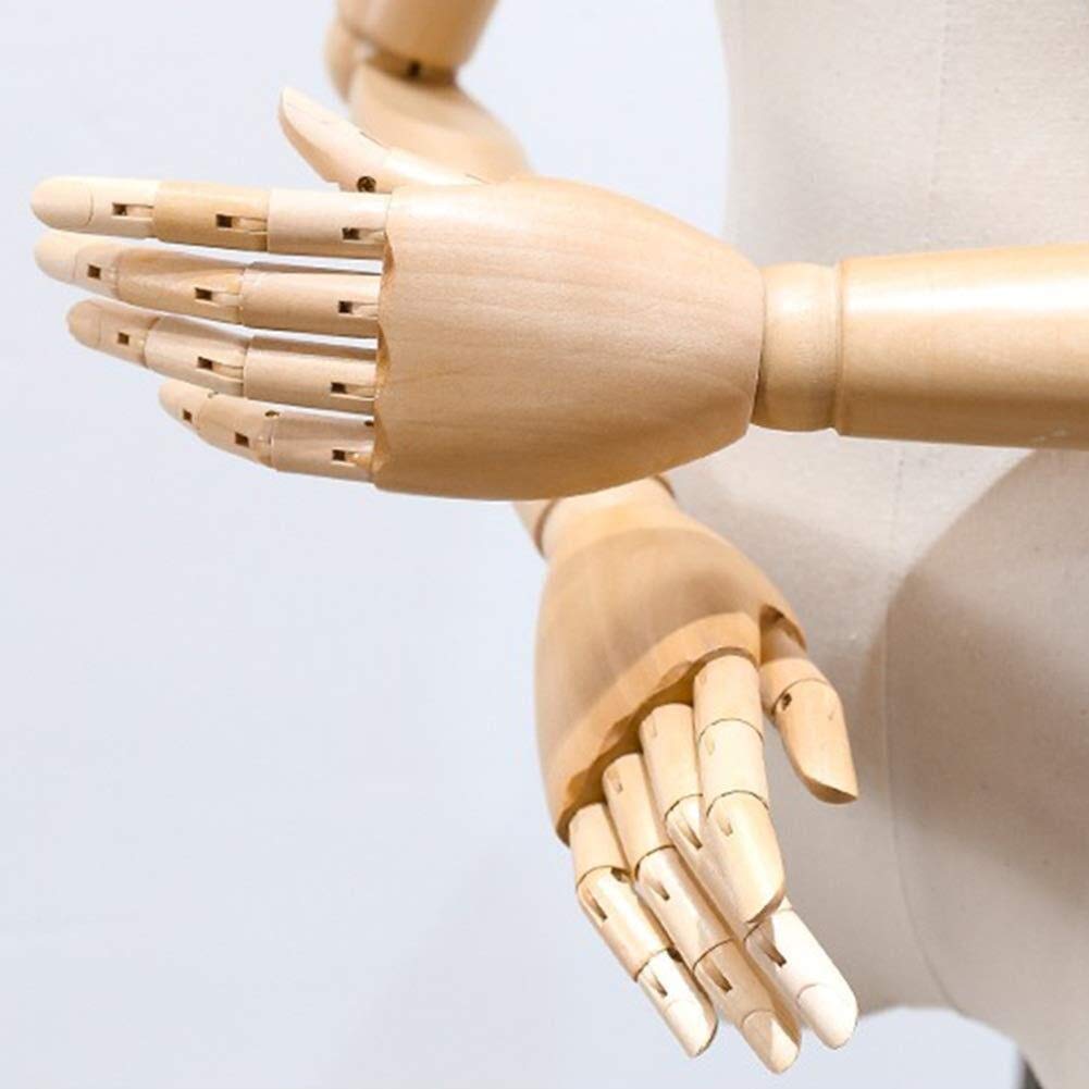 Mannequin Dress Form Torso Mannequin Torso Female Tailors Dummy Mannequin Dressmakers Dummies Display Bust with Arm Active Suitable for Clothing Show (Gold Medium) (Silve