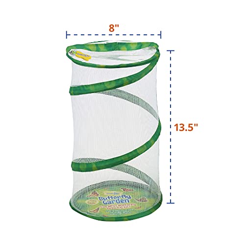 Mini Butterfly Garden Gift Set Two Live Cups of Caterpillars โ Dual Lens Magnifier โ Butterfly Life Cycle Stages