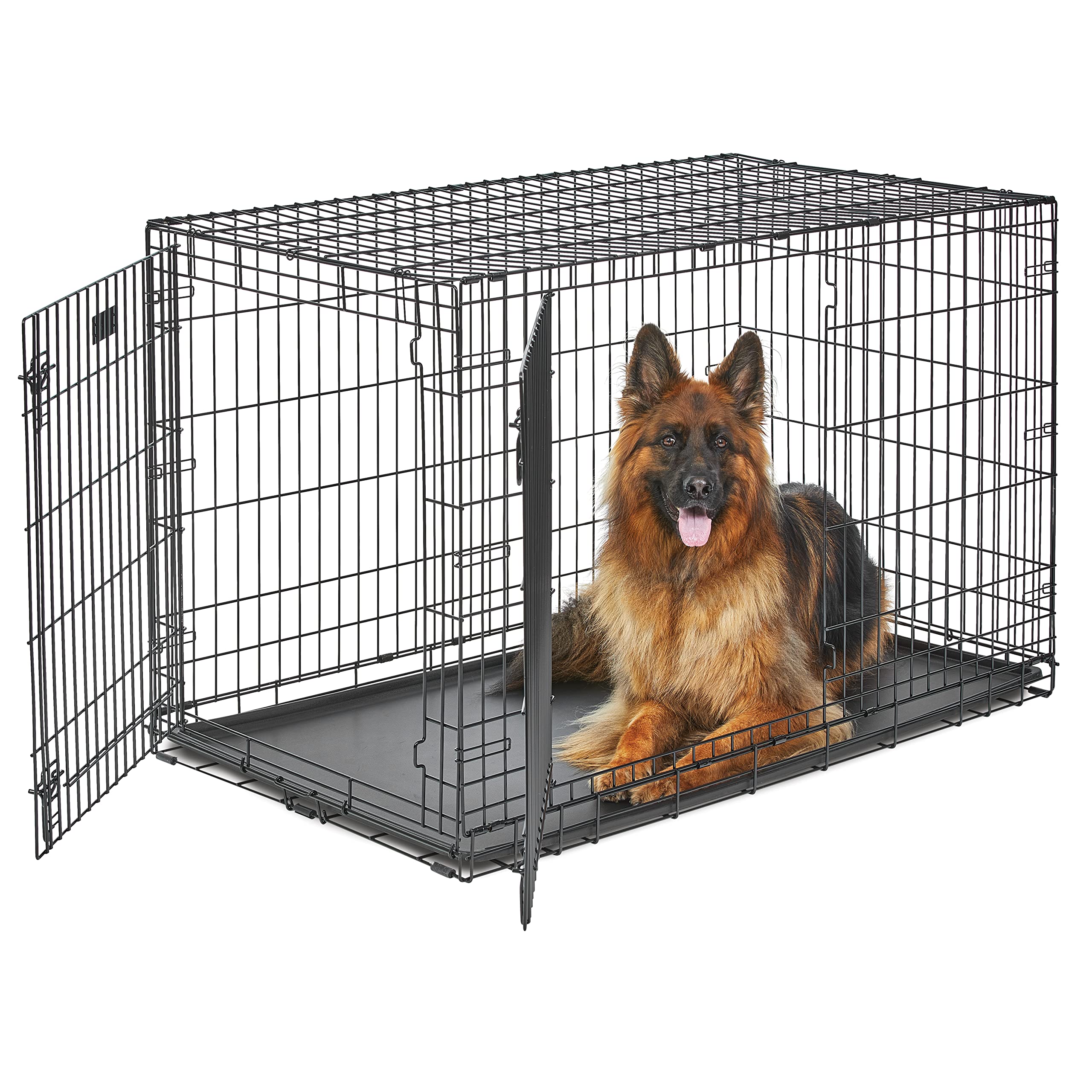 MidWest Homes for Pets XL Dog Crate | MidWest Life Stages Double Door Folding Metal Dog Crate | Divider Panel, Floor Protecting Feet, Leak-Proof Dog Pan | 48L x 30W x 33H Inches, XL Dog Breed