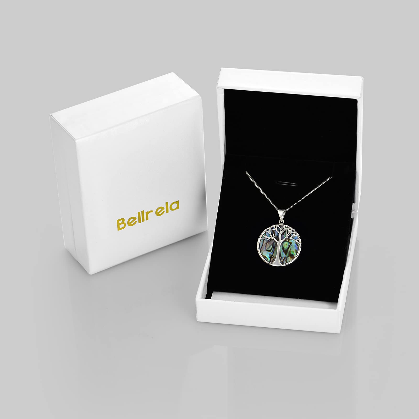 Sterling Silver Tree Of Life Natural Abalone Shell Heart Pendant Necklace For Women (Nautral Abalone Shell Life Tree)