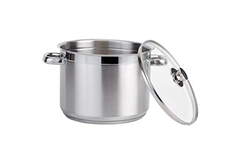 Vinod 6 Liters/6.3 Quartz Stockpot Stainless Steel With Tempered Glass Lids | Dishwasher Safe | Large Cooking Pot For Indian Food, Soup, Stew | Induction-Ready | 22cm | Food Grade Stainless Steel