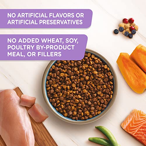 Rachael Ray Nutrish Longevity Premium Natural Dry Cat Food, Chicken with Chickpeas & Salmon Recipe, 3 Pounds